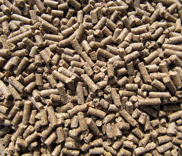 Diervoeders | Smicon